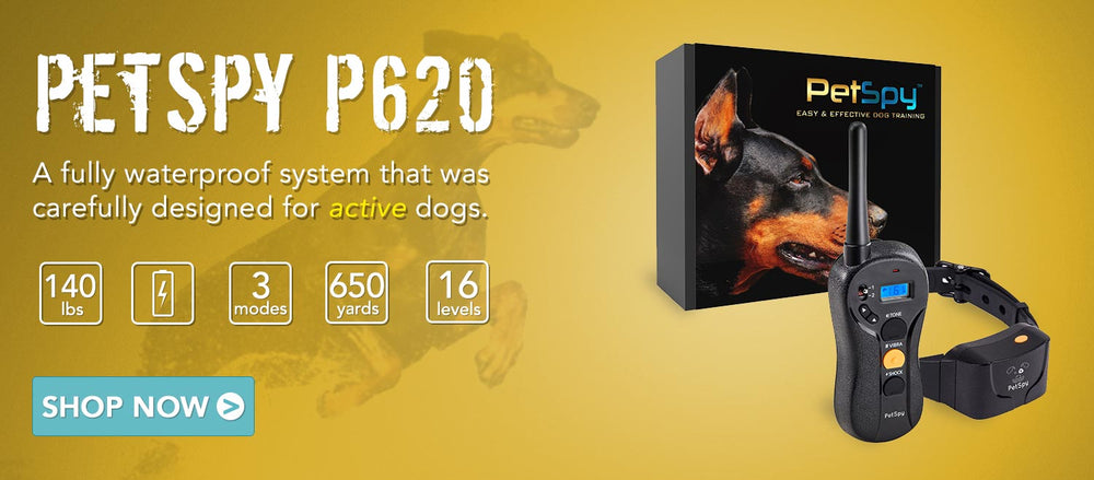 PetSpy® E-Collars - Official Manufacturer Website